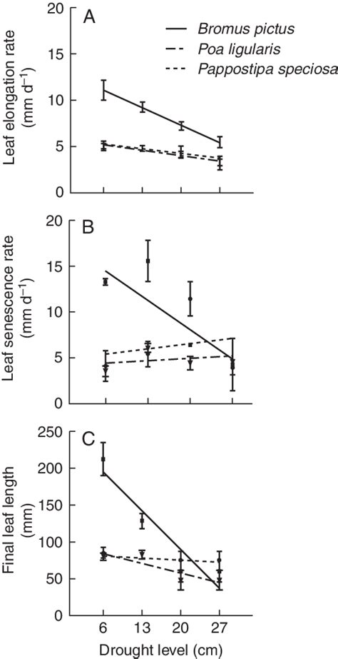 Norms Of Reaction At The Leaf Level Graphs Represent The Response To