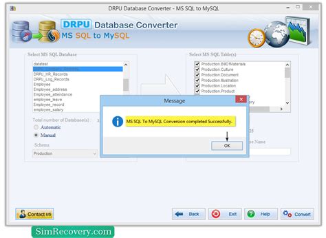 screenshots of mssql to mysql database converter software to view procedure