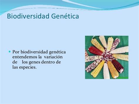 Biodiversidad Genetica