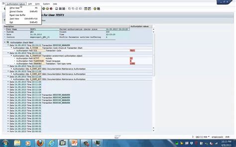 20 display authorization data in su53 youtube