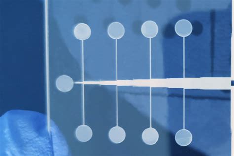 Microfluidics For Single Cell Analysis Workshop Of Photonics Wop