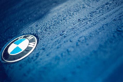 Bmw Logo 1080p 2k 4k 5k Hd Wallpapers Free Download Wallpaper Flare