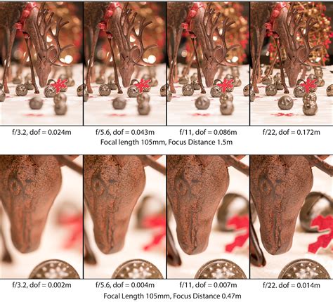 Understanding Depth Of Field A Beginners Guide