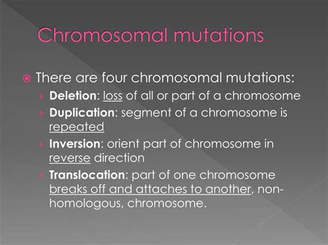 Ppt Mutations Powerpoint Presentation Free Download Id 3389755