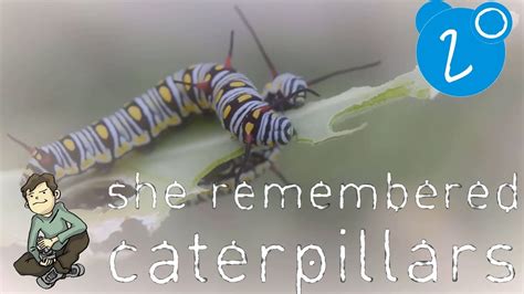 She Remembered Caterpillars By Nelly Chapters 13 16 Youtube