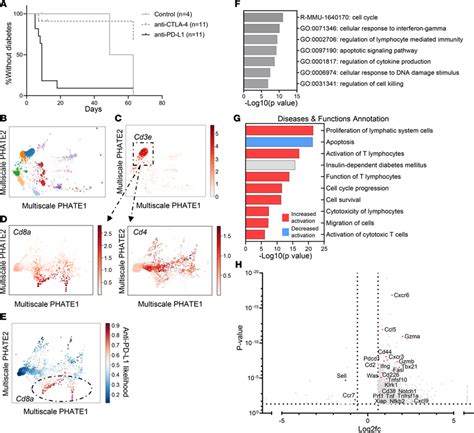 Single Cell Rna Seq Of Cd8 T Cells From Anti Pd L1 Versus Anti Ctla 4