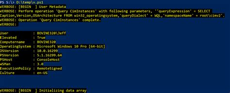 who is running your powershell script the lonely administrator