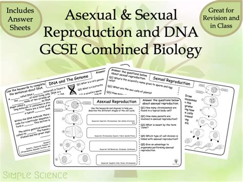 Asexual And Sexual Reproduction And Dna Gcse Biology Worksheets