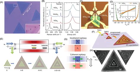 A Optical Microscope Om Image Of Mose2 Wse2 Heterostructures By