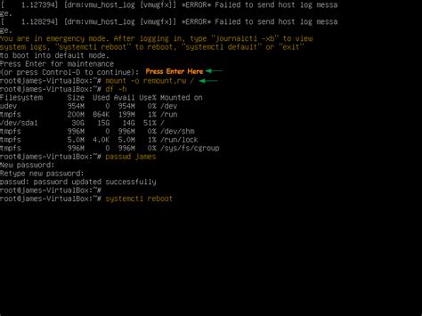 how to boot linux mint 20 in rescue emergency mode