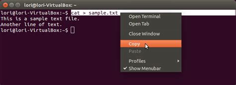 how to copy and paste text into the linux terminal