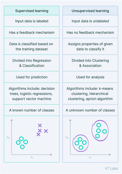 what is data labelling and how to do it efficiently [2023]