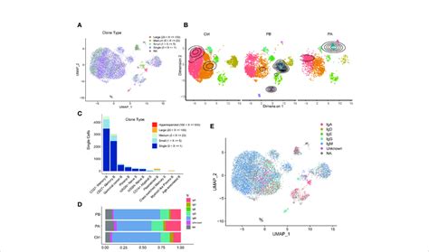 Characterization Of Bcr Repertoires During Acute Anti Nmdare State A