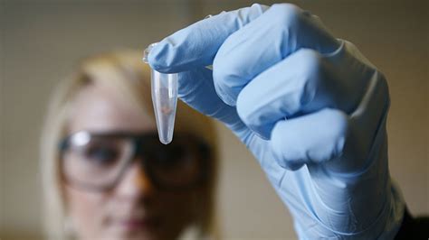 Sex Gene Scientists Find Dna Determines The Age You Lose Your