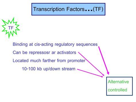 Ppt Transcription Factors … Tf Powerpoint Presentation Free