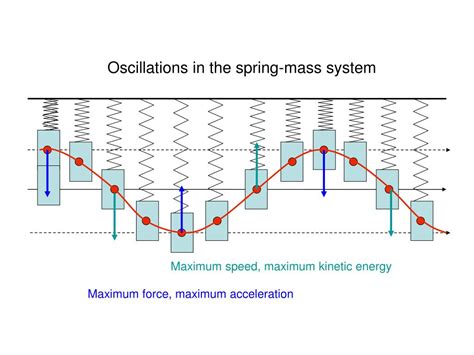 Ppt Oscillations In The Spring Mass System Powerpoint Presentation
