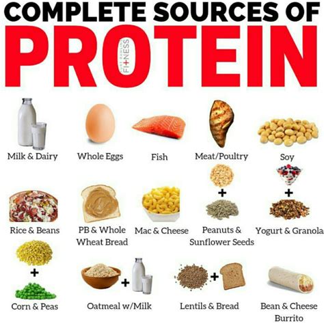 High Protein Foods List Printable