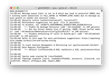 getting started with node js and apache® ignite