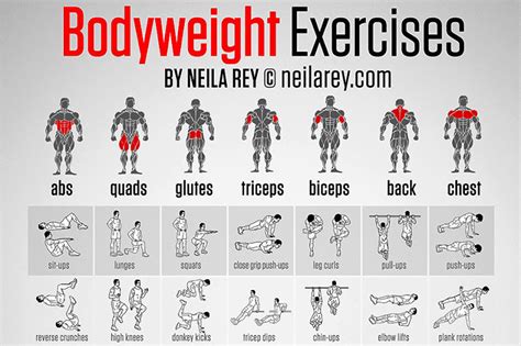 Barbell And Bodyweight Workout For Women Fitness And Workout Abs Tutorial