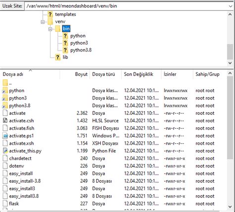 apache2 wsgi flask服务器使用错误的python解释器