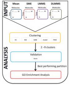 workflow for the profile cluster analysis trajectories