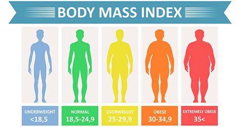 What Is A Bmi And How Is It Calculated – Wlfa