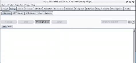 Web Application Penetration Testing Steps Methods And Tools Purplesec