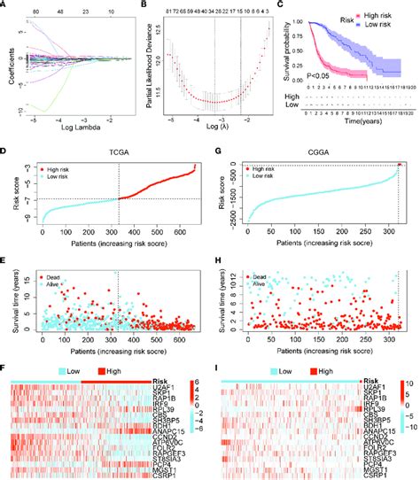 Construction And Verification Of A 17 Gene Risk Signature A Lasso