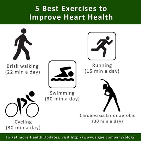 10 Best Ways To Improve Cardiovascular Fitness Cardio Workout Exercises