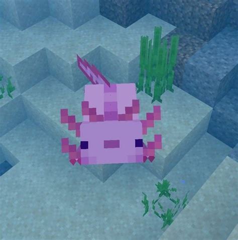 Wiki Minecraft Brasil ™ Amino