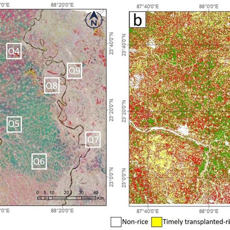 Spatial Variations In Rice Transplantation A Temporal Composite Of