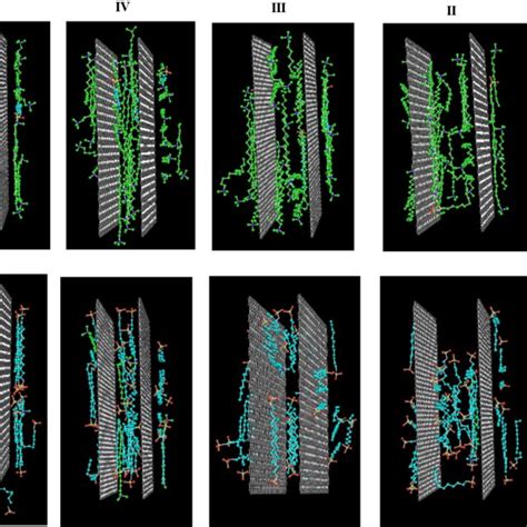 Representative Final Equilibrium Simulation Snapshots Of The Surfactant