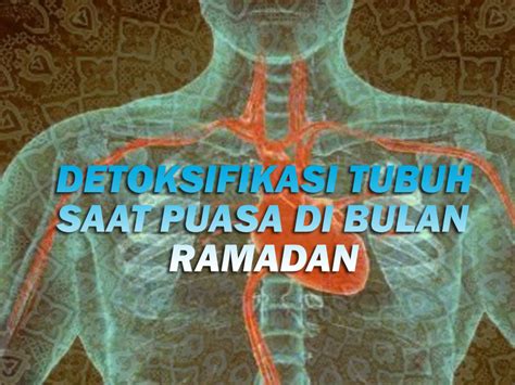 Tahap Tahap Detoksifikasi Tubuh Saat Puasa Di Bulan Ramadan