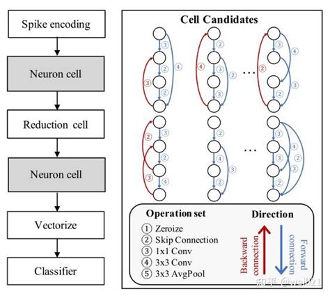 Nas Snn《neural Architecture Search For Spiking Neural Networks》 知乎