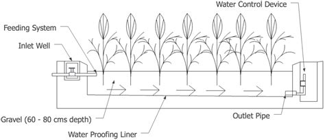 Horizontal Flow Constructed Wetlands Hfcw Sswm Find Tools For
