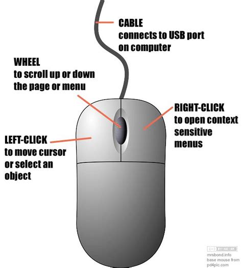 image result for diagram of the computer mouse computer mouse mouse