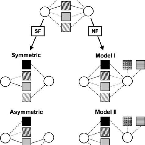 —calibrated Phylogenetic Tree With Gene Duplicate Divergence Time