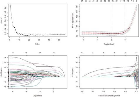 explanatory plots for cross validated errors and lasso coefficients