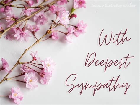 100 Sympathy Quotes And Messages Of Condolence Happy Birthday Wisher
