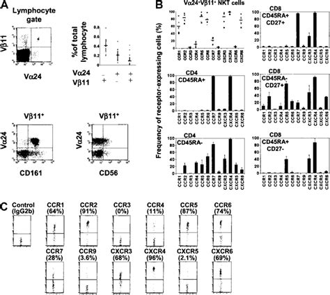 Expression Of Chemokine Receptors By Human Nkt Cells In Circulation