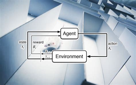 a gentle introduction to model free and model based reinforcement