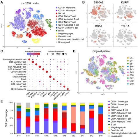 Single Cell Characterization Of Immune Cells Via Scrna Seq A