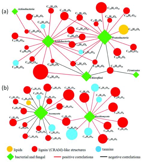Interaction Network Analysis Of The Top 100 Most Abundant Bacterial
