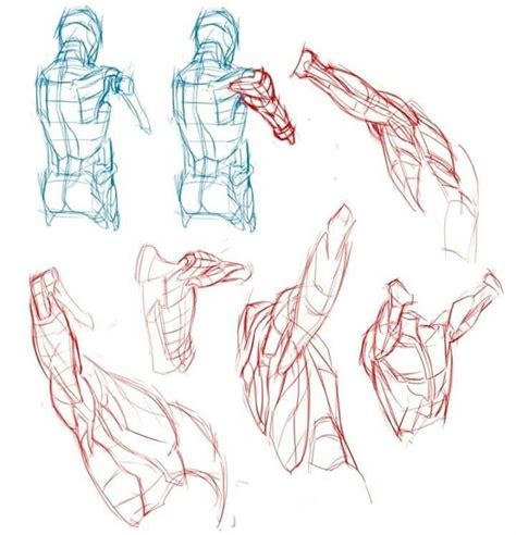 Pin By Raoul Müntefer On Zeichen Sachen Human Anatomy Drawing Human