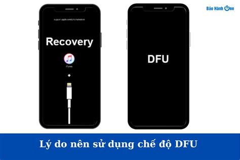 Chế Độ Dfu Là Gì Top 3 Cách Đưa Iphone Về Chế Độ Dfu