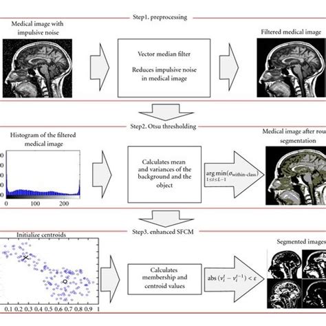 pdf a hybrid technique for medical image segmentation