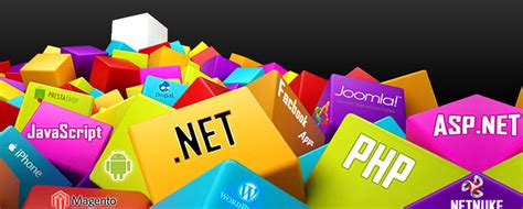 web application development company web development services