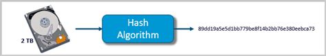 forensics hash function algorithm what is and how to calculate