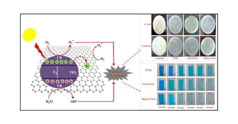 Visible Light Driven Carbon Doped Tio2 Based Nanocatalysts For Enhanced