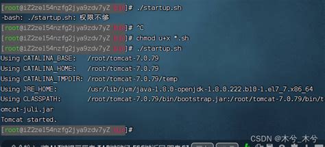bash startup sh permission denied解决 csdn博客